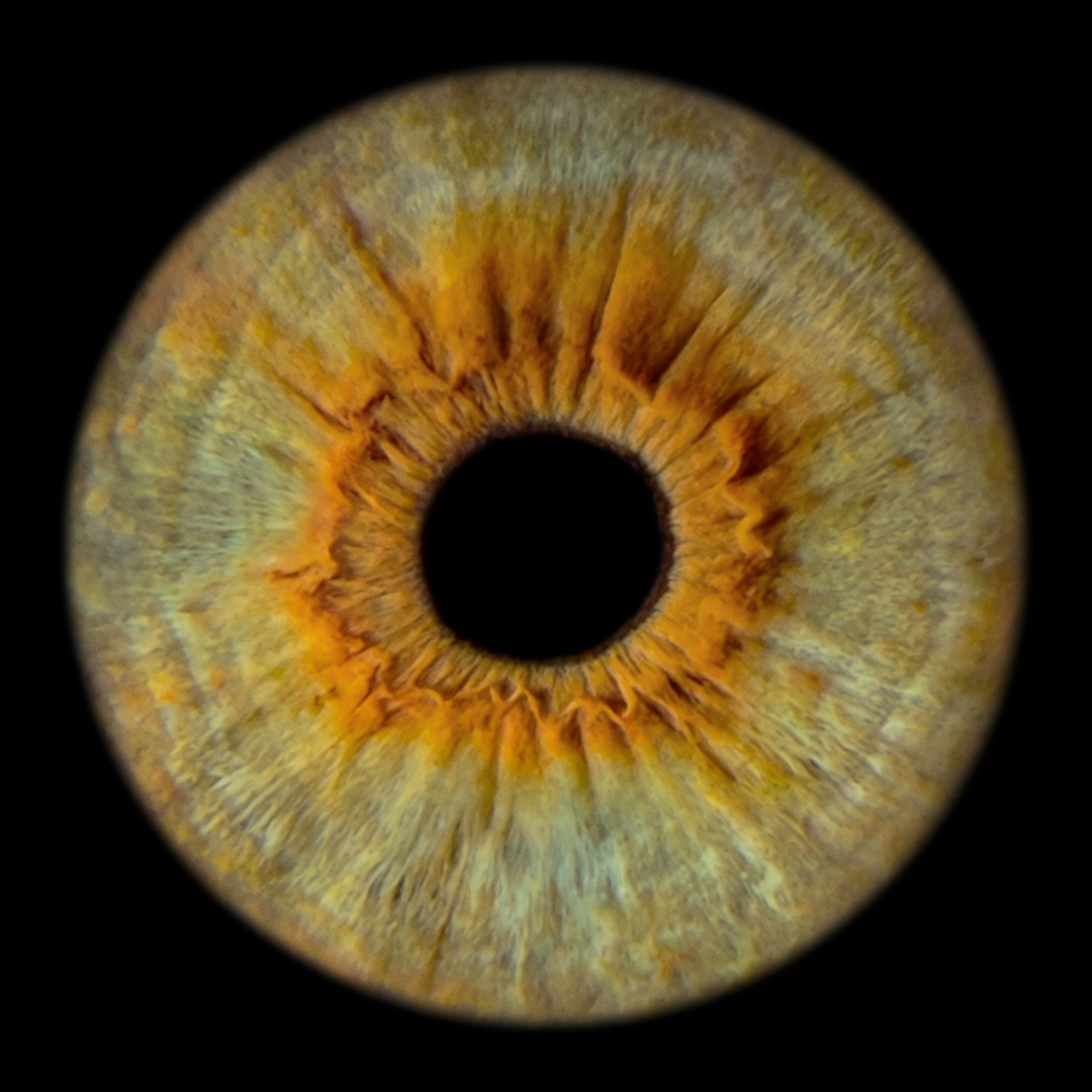 Sol Iris Photography Launches Capture & Send, Bringing Fine-Art Iris ...
