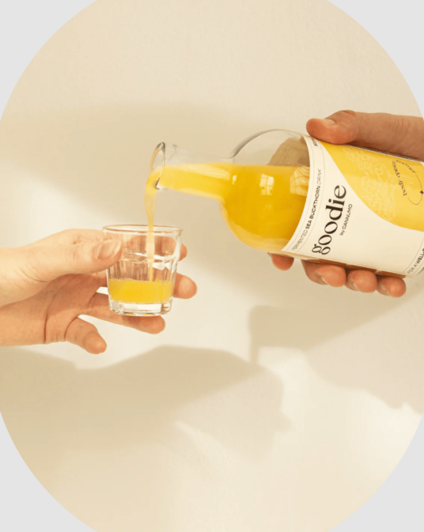 Cannumo Launches Goodie: A Naturally Fermented Probiotic-Rich Drink ...