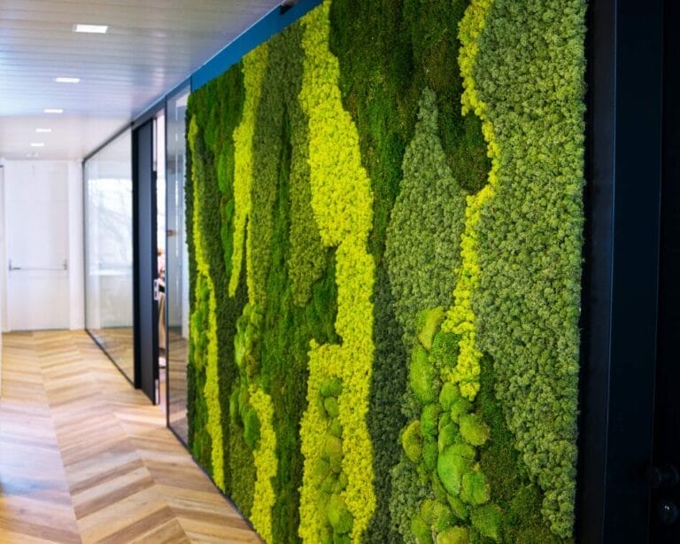 GreenMountain GreenWalls Unveils Preserved Moss Wall Art in Vermont ...