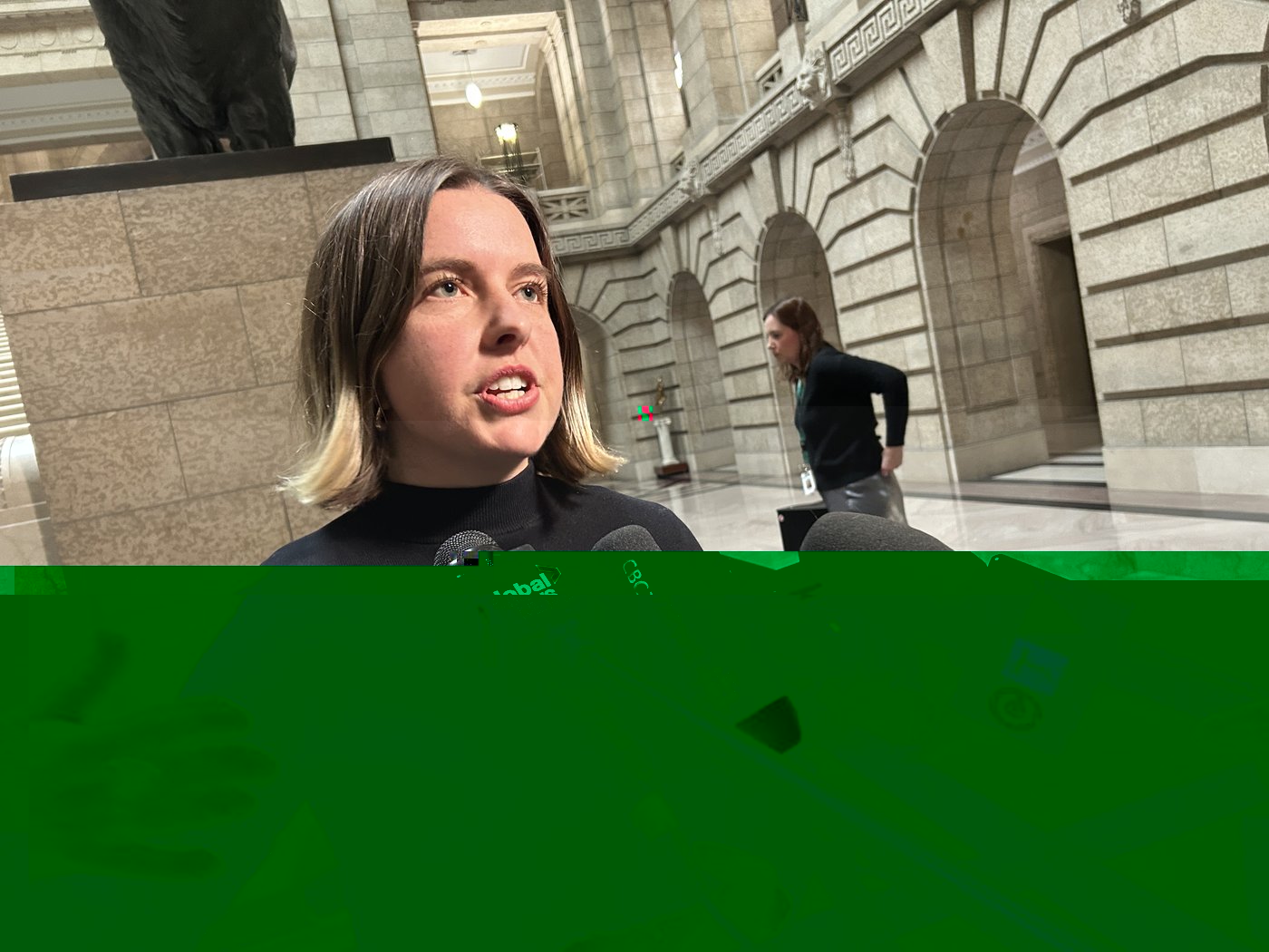 Coalition says Manitoba needs to spend more to meet environmental targets