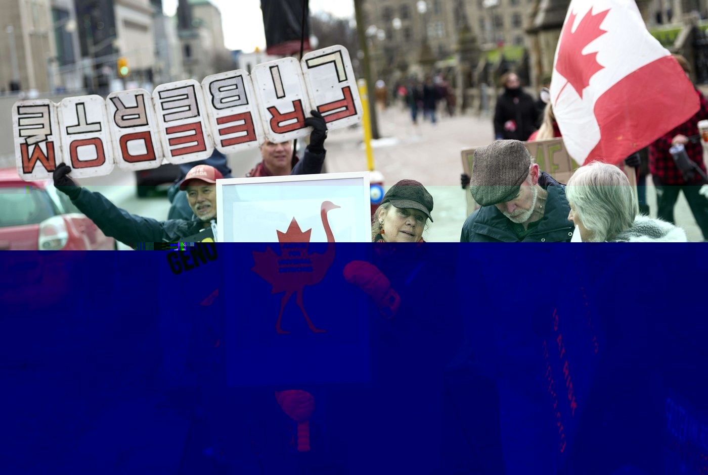 Months after B.C. ostrich cull, why does protest movement persist?