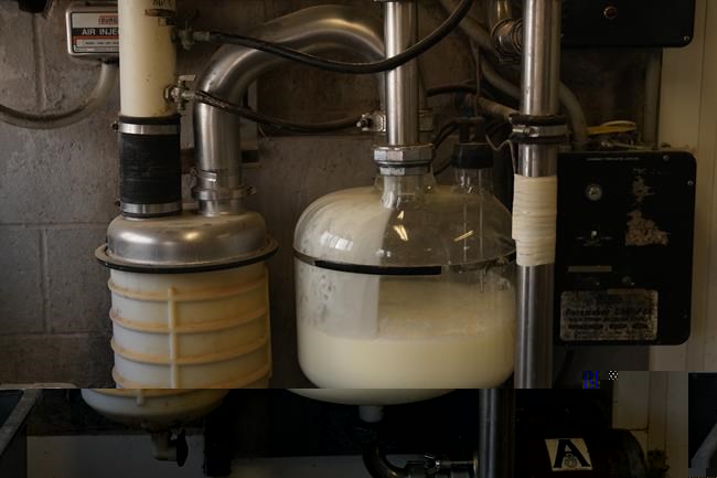Company behind lab-grown milk protein eyes Canadian animal-free dairy ...