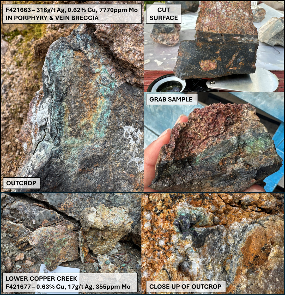 Core Silver Samples 316 g/t Silver & 0.62% Copper at the Valley Zone as ...
