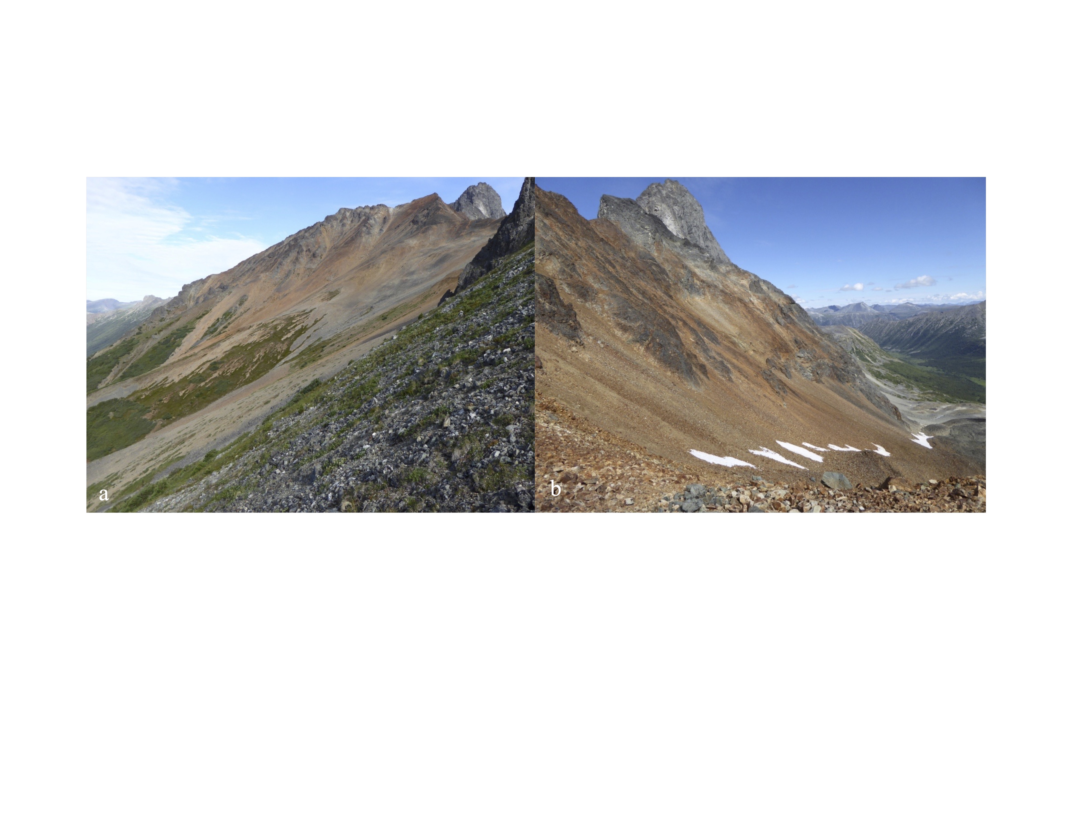 Prospect Ridge Options Castle Copper-Gold Porphyry Project In ...