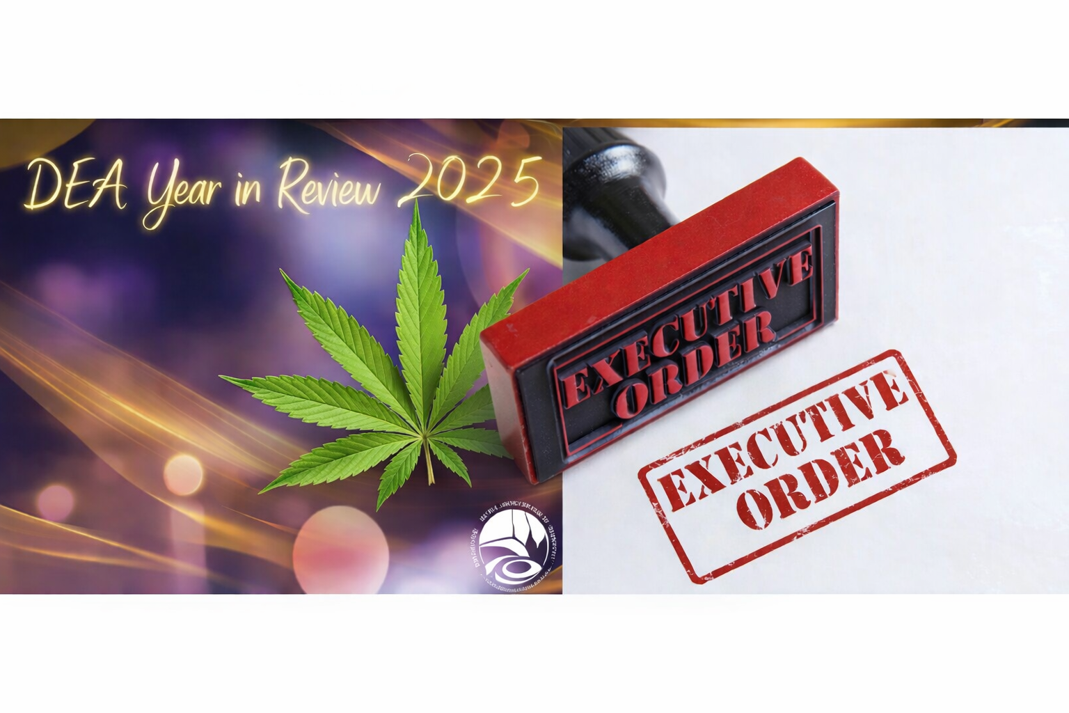 DEA Marijuana Year in Review 2025: President Trump Fixing DEA? - The ...