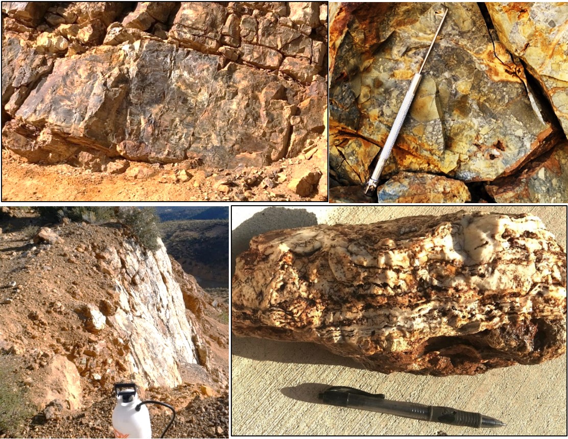 Hayden Hill Surface Program Mapped Multiple Epithermal Veins ...