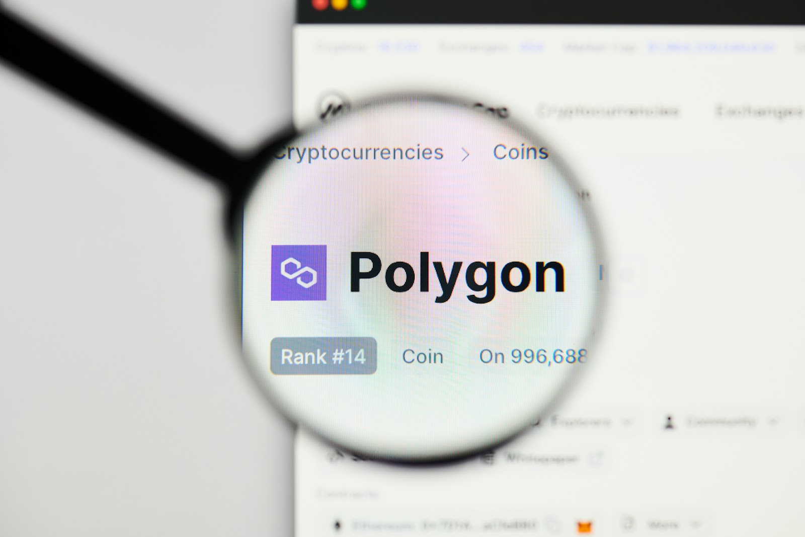 Polygon, Chainlink Experiences Upsurge, Everlodge Takes Centre stage with Revolutionary Property ...