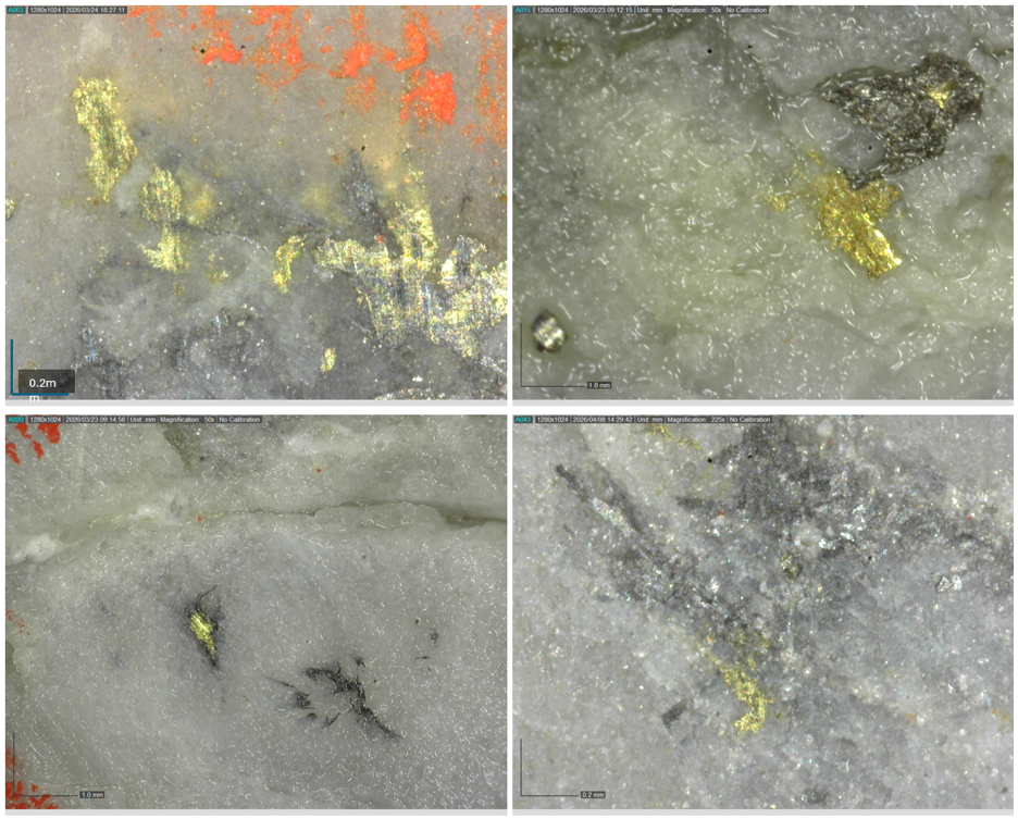 Banyan Gold Intersects 5.58g/t Au Over 21.7 m in New High-grade Gold ...
