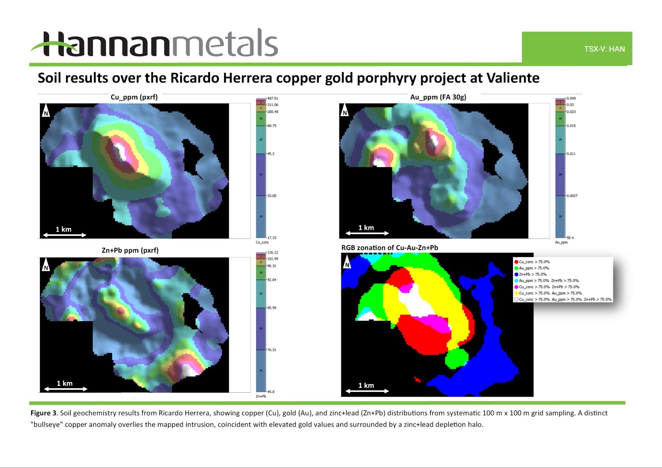 Hannan Defines Large-Scale IP Geophysical Anomaly at The Ricardo ...