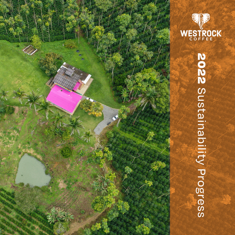 Westrock Coffee Company Releases 2022 Sustainability Progress Report ...