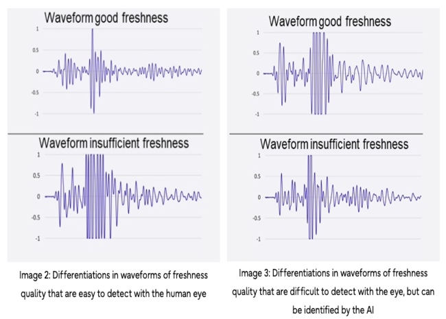 Fujitsu and Tokai University develop ultrasound AI tech to test quality ...