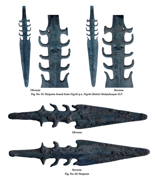 Archaeologist Vijay Kumar Sheds New Light on Ancient Indian ...