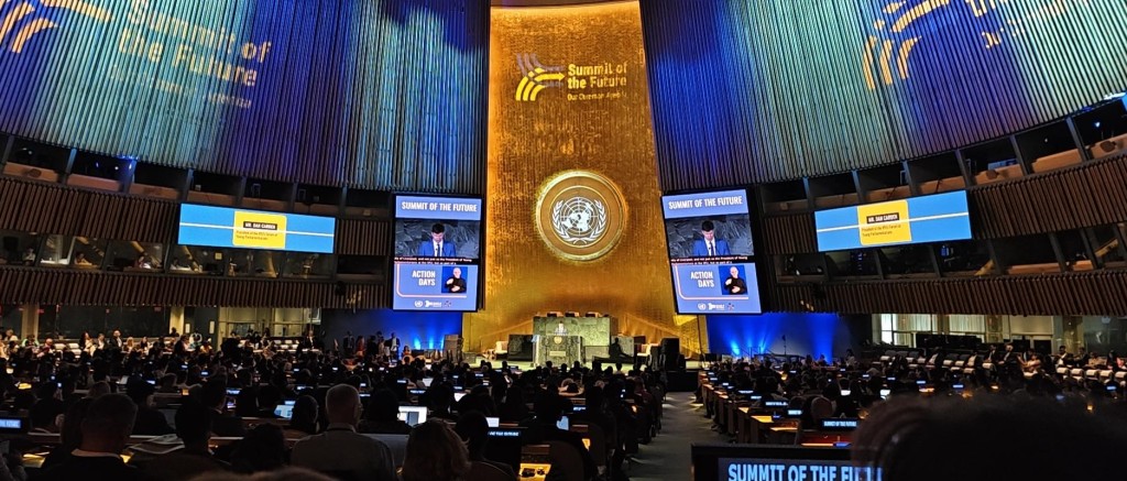 Towards a More Inclusive Future: United Nations “Summit of the Future ...