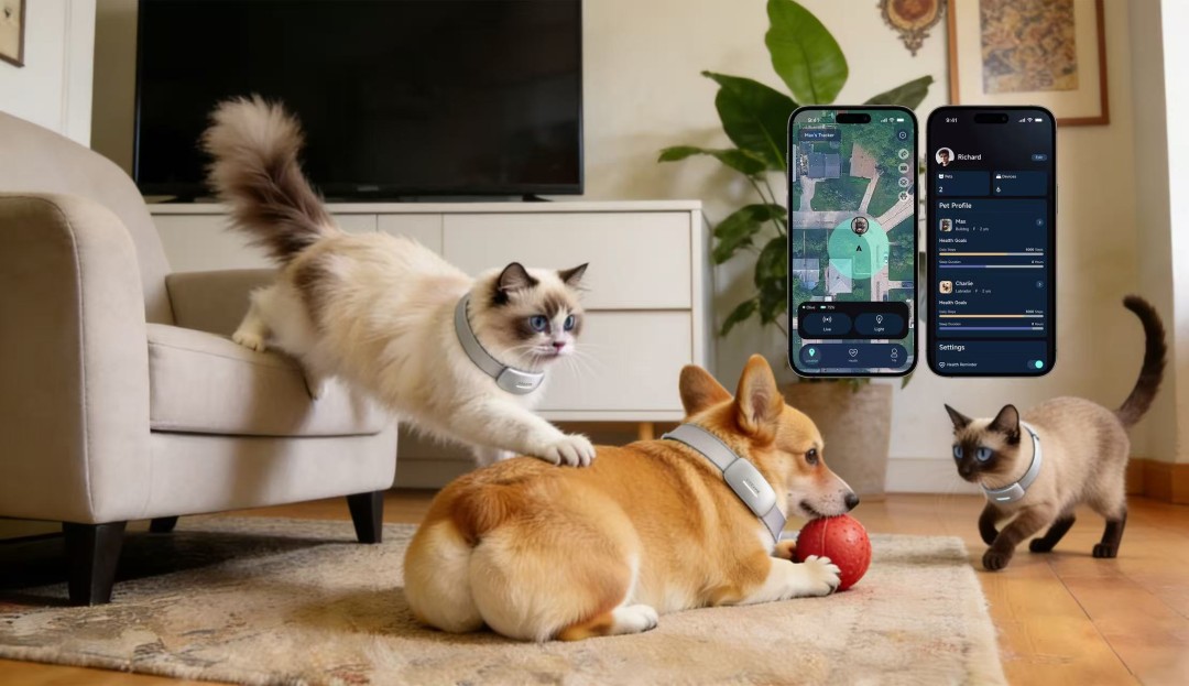 Dreame Technology Introduces a New AI-Powered Pet Health Collar at CES ...