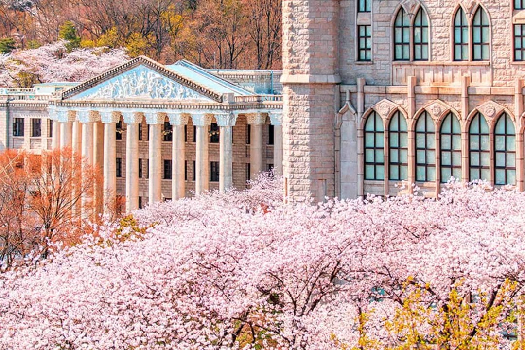 Kyung Hee University in South Korea Rises to 6th in JoongAng Ilbo ...