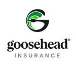 Goosehead Insurance, Inc. Appoints John Martin as Chief Financial ...