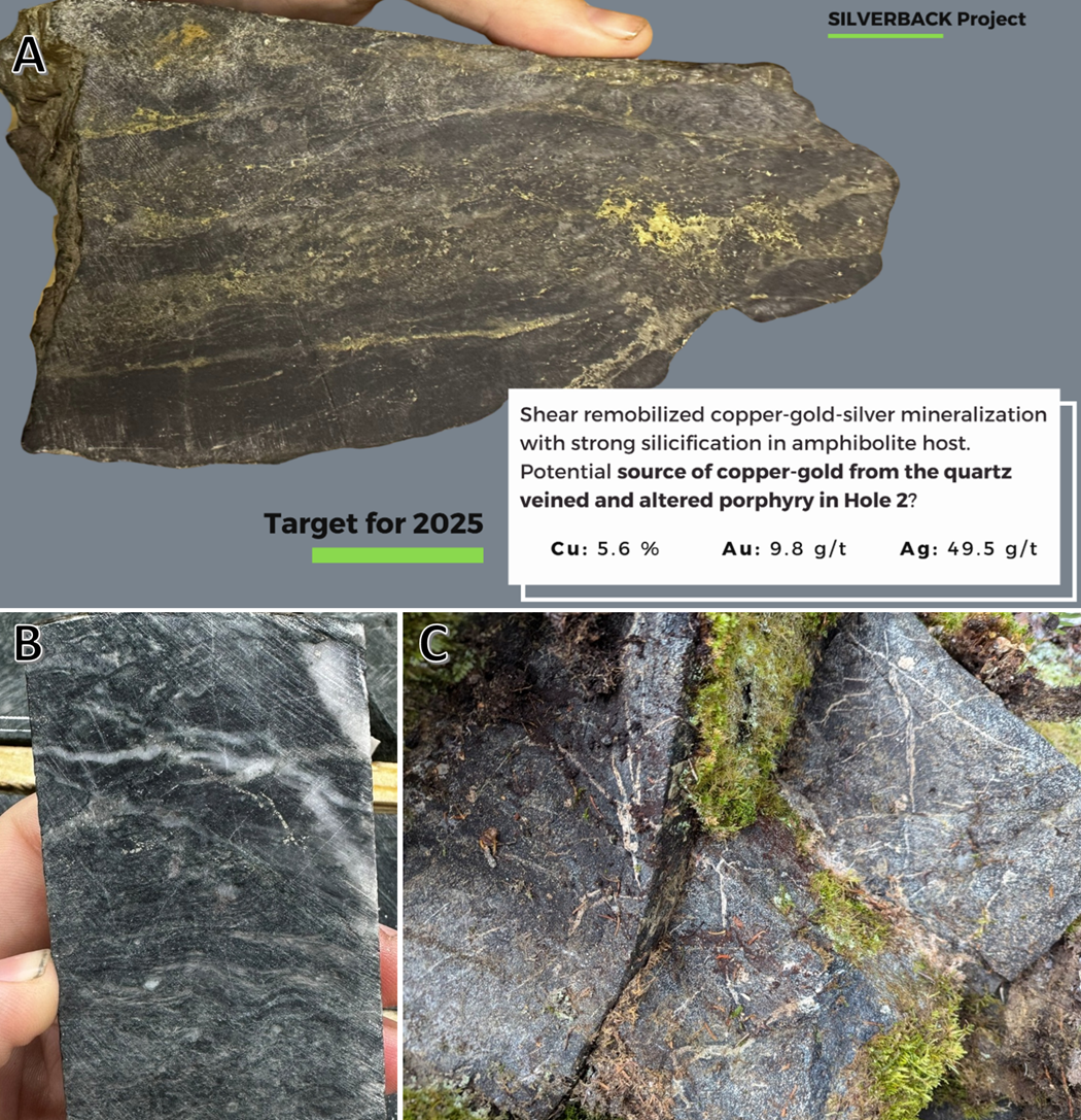Drilling is Underway at VR Resources’ Silverback Copper-Gold Project in ...