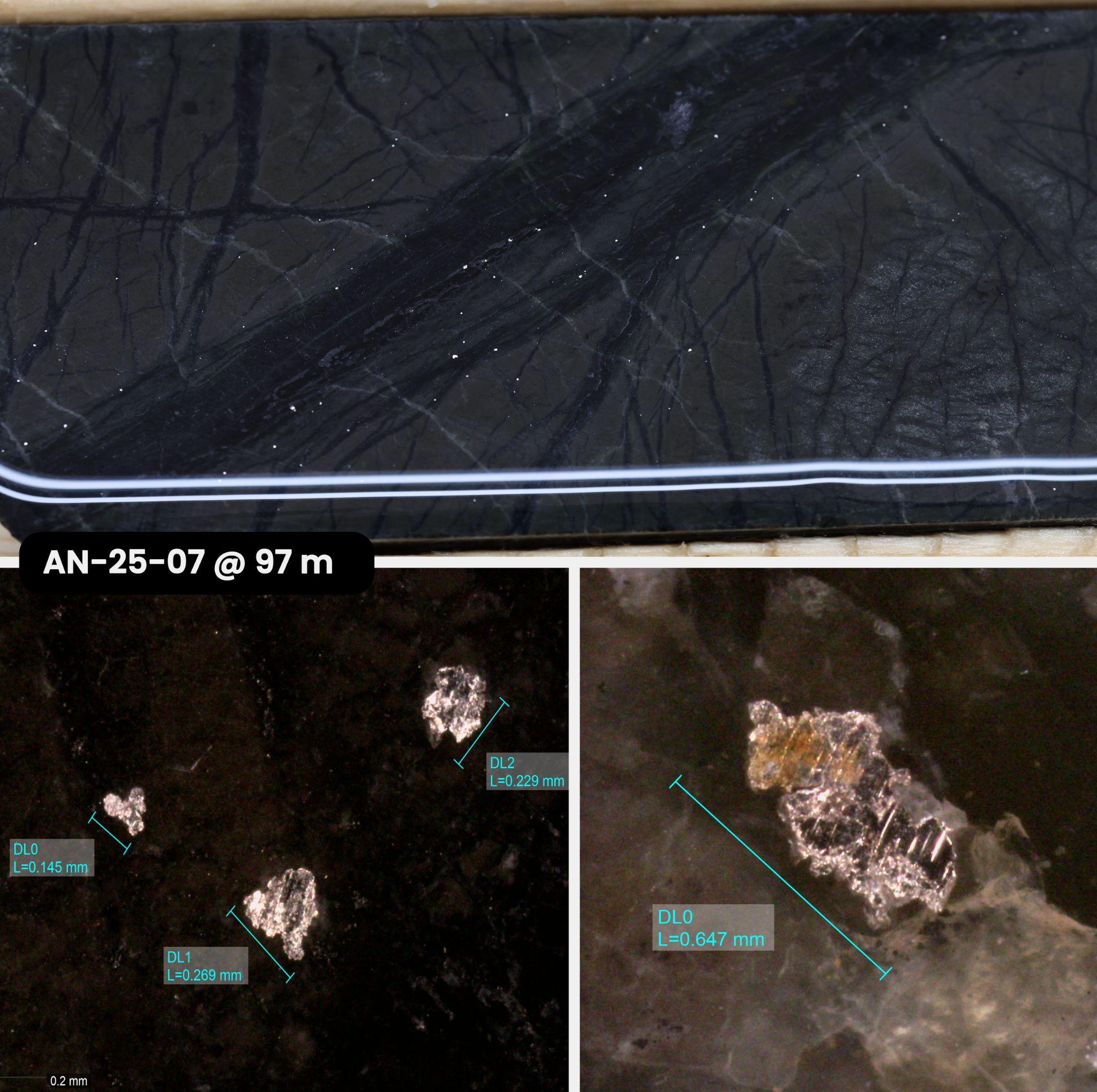 First Atlantic Nickel Expands RPM Zone to 750 Meters in Width with ...