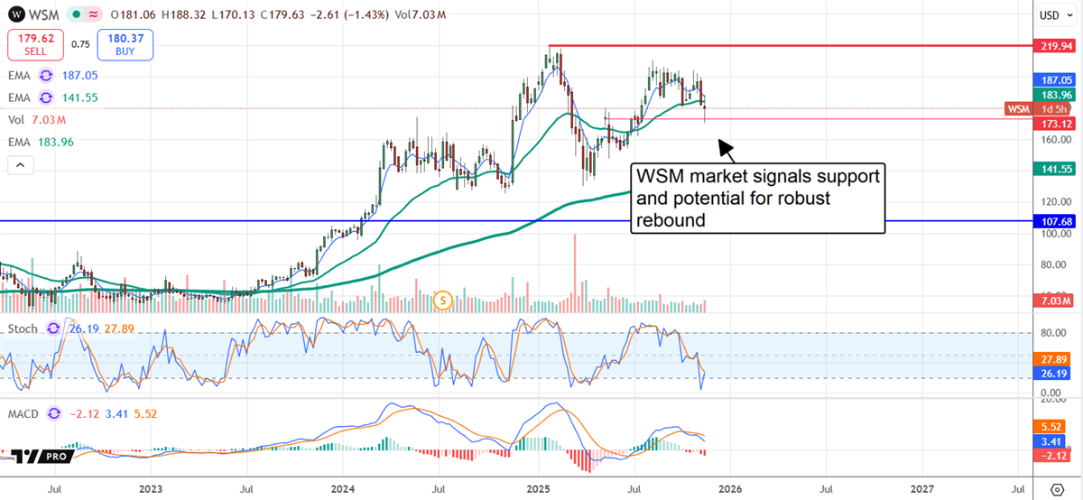 Wall Street Loves Williams-Sonoma Right Now—Here’s Why the Stock Could ...