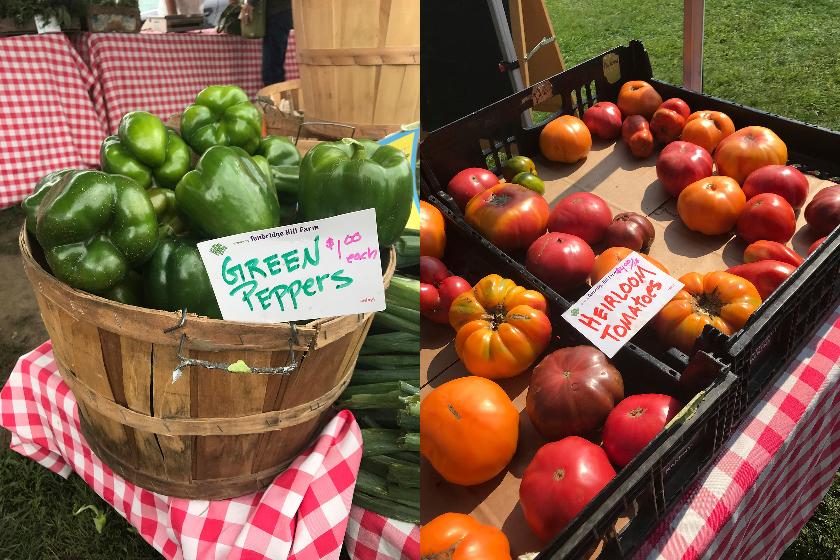 Why I love my CSA (it's more than the weekly box of fresh produce)