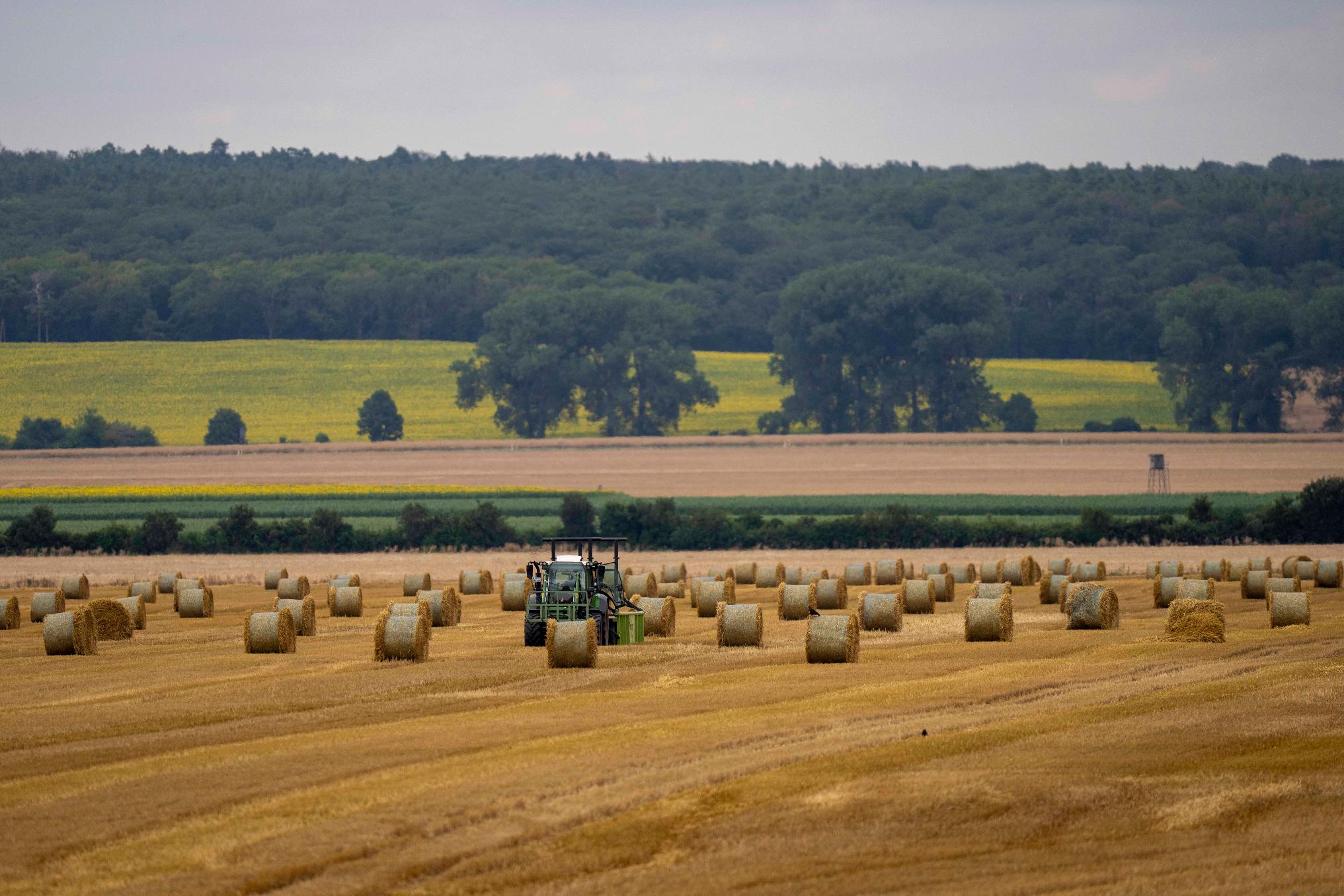 EU agriculture officials work on ways to move Ukrainian grain to the world