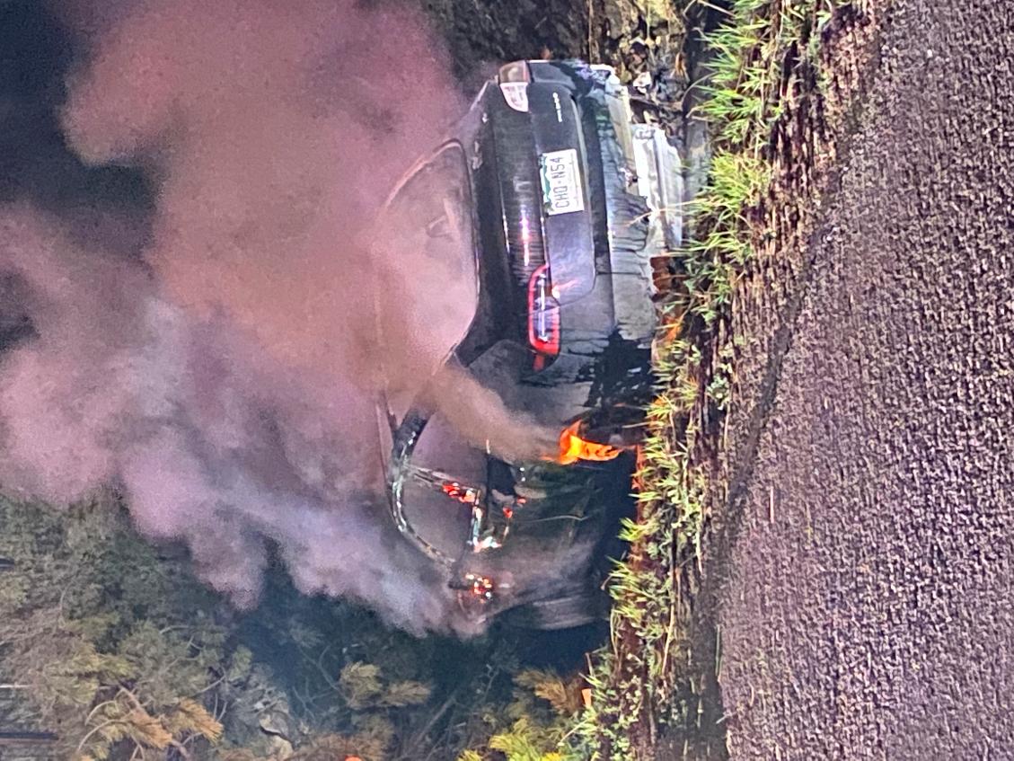 Tesla’s Autopilot caused a fiery crash into a tree, killing a Colorado ...