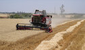 Zimbabwe's focus on wheat set to yield biggest-ever harvest - The Globe ...